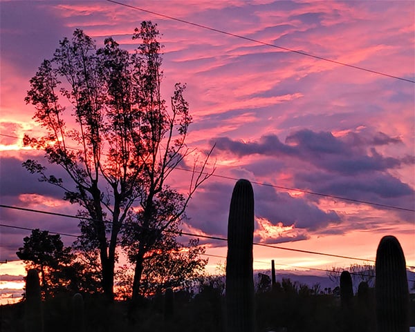 Goodbye to Arizona — William Kent Krueger
